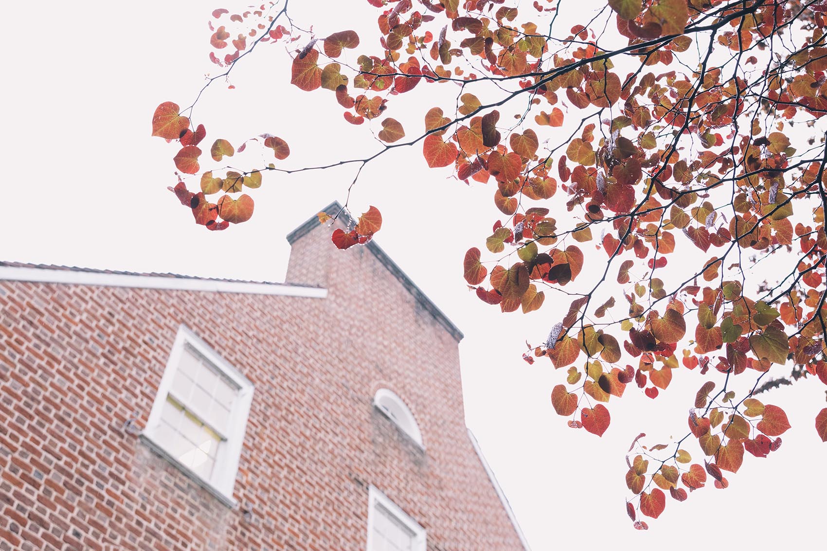 Supporting Salem Academy - Salem Academy